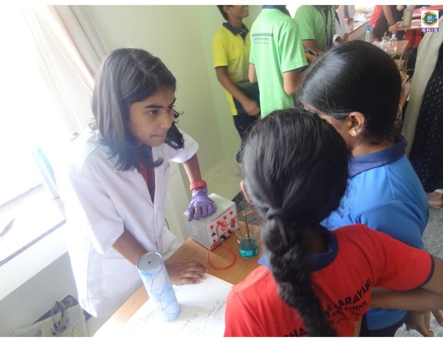 PBL- MYP science activity | PDF