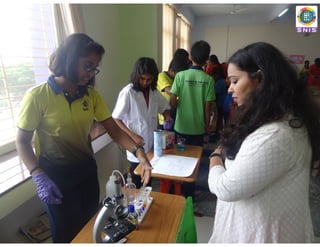 PBL- MYP science activity | PDF