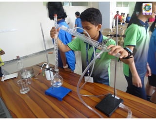 PBL- MYP science activity | PDF