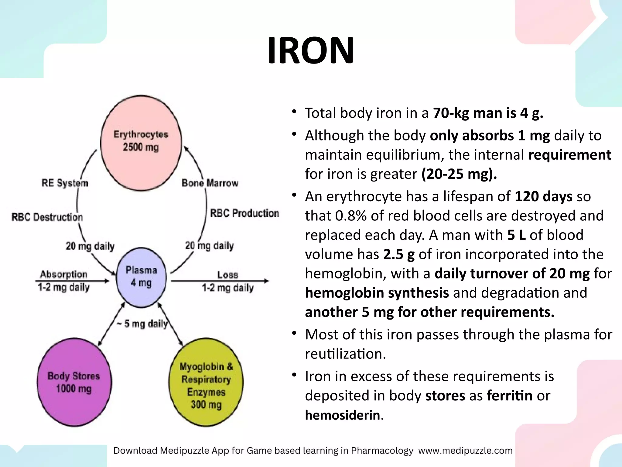 HS-_Iron_Deficiency_Anemia.pdf