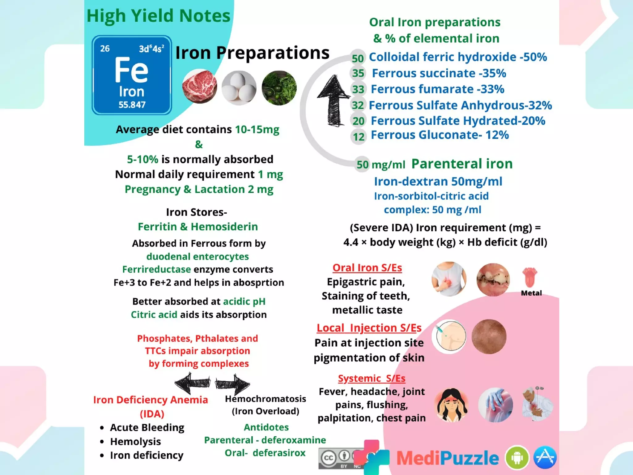 HS-_Iron_Deficiency_Anemia.pdf