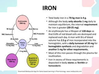 HS-_Iron_Deficiency_Anemia.pdf
