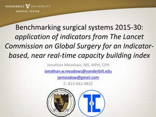 Benchmarking surgical systems 2015-30: application of indicators from ...