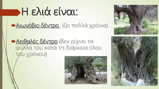 Y | PPT