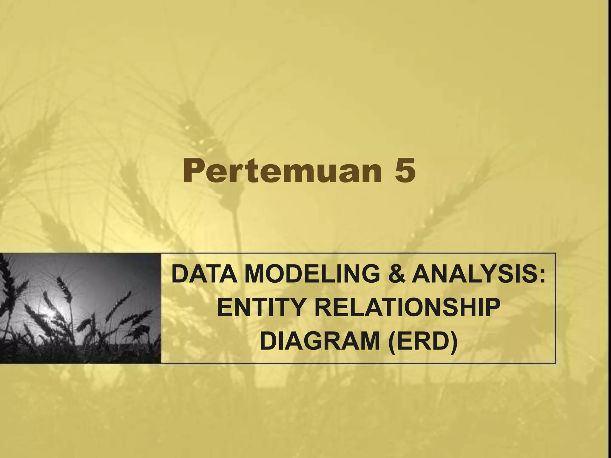 ERD (Entity Relationship Diagram) | PPTX