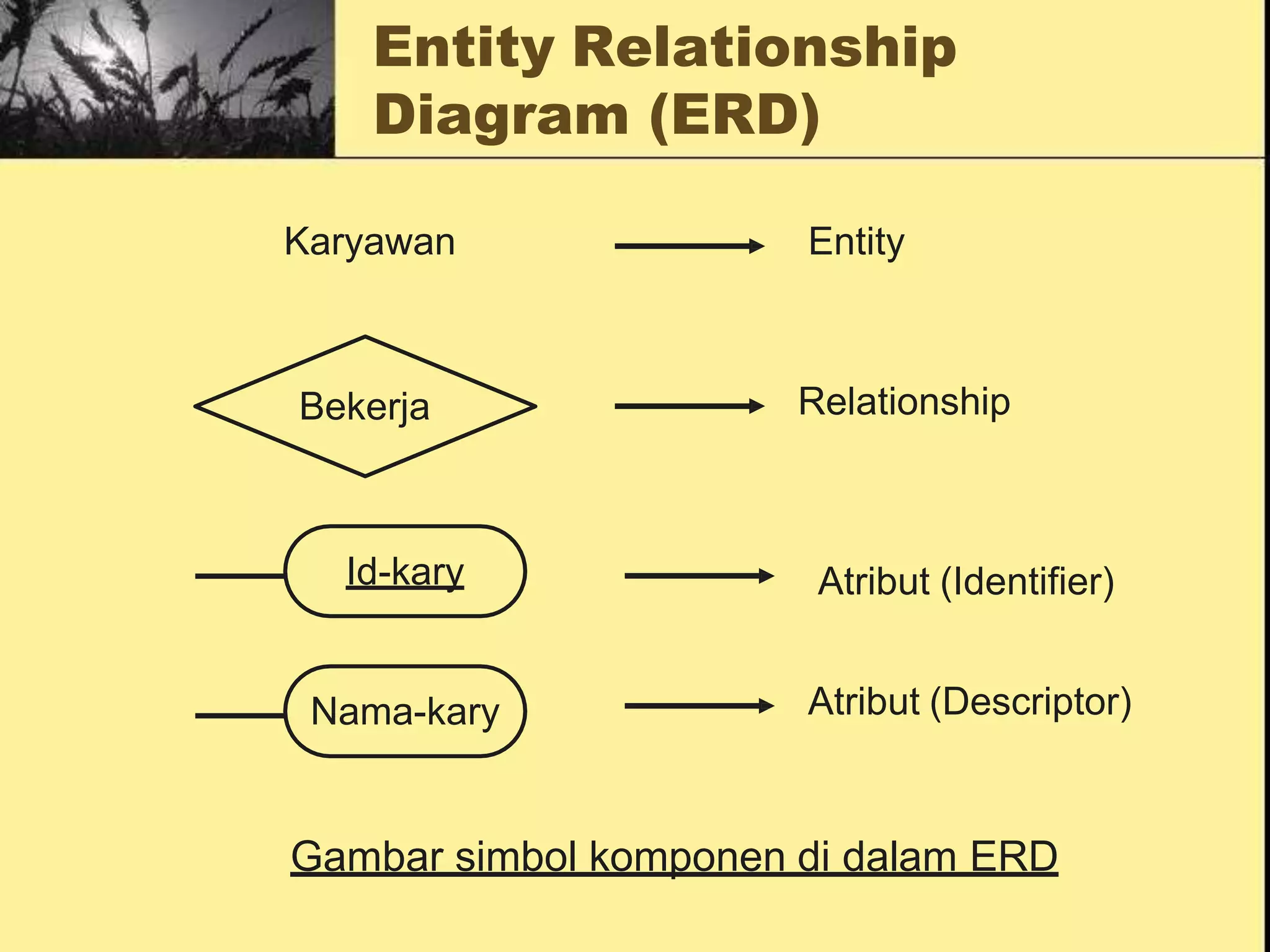 ERD (Entity Relationship Diagram) | PPTX