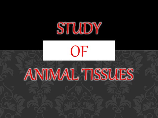 Chapter_10_Animal_tissues.pptx