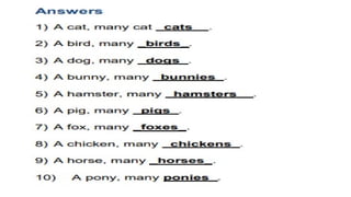 Mastering Plural Forms: Adding 's' or 'ies' to Words | PPTX