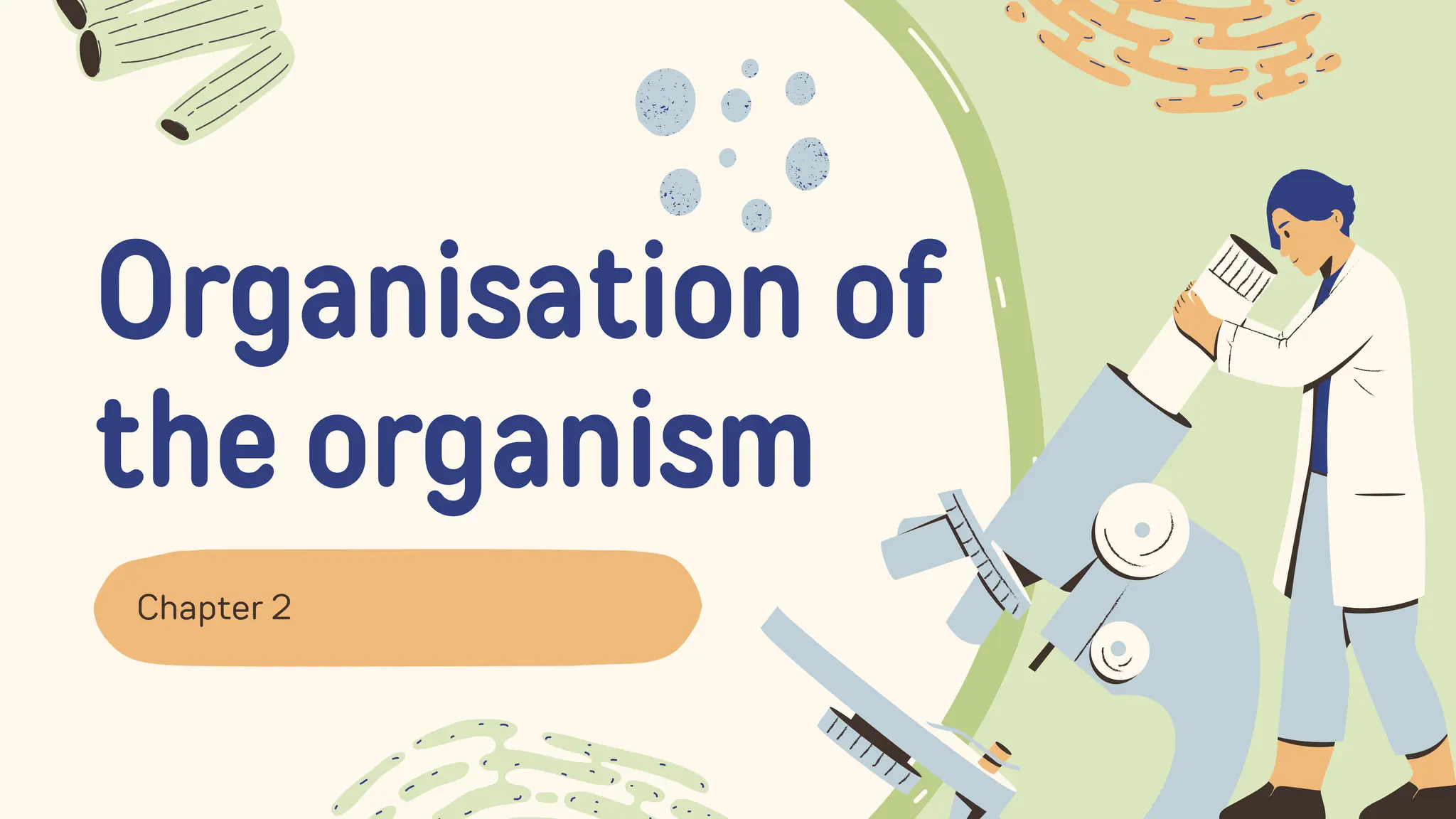IGCSE Biology Organisation of Organism Chapter 2 | PDF