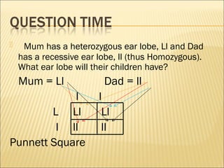 Year 10 science genetics | PPT