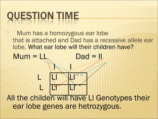 Year 10 science genetics | PPT