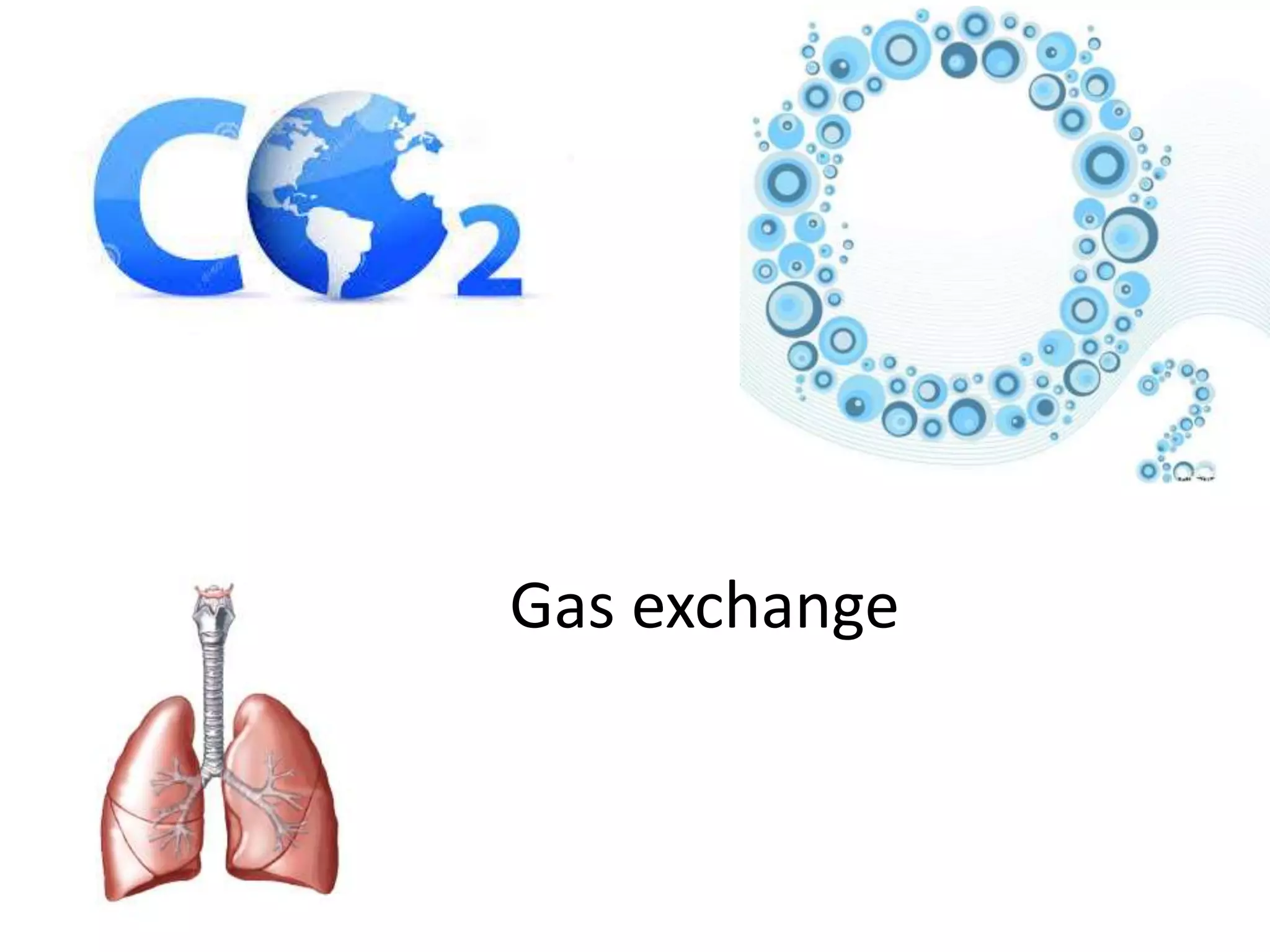 Gas exchange | PPTX
