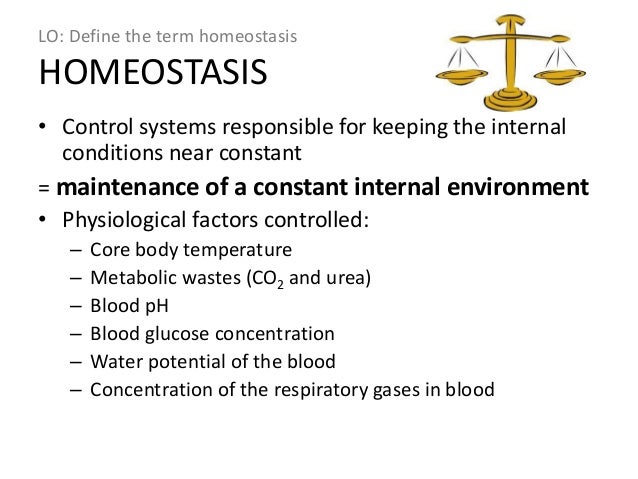 What Is Homeostasis Meaning Definition And Examples