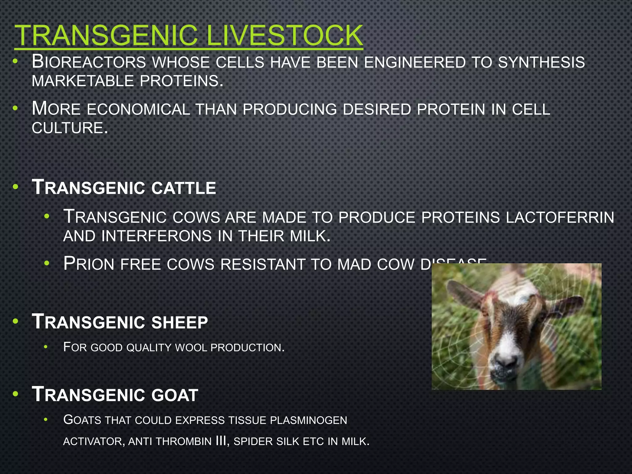 Genetically Modified Organisms | PPTX