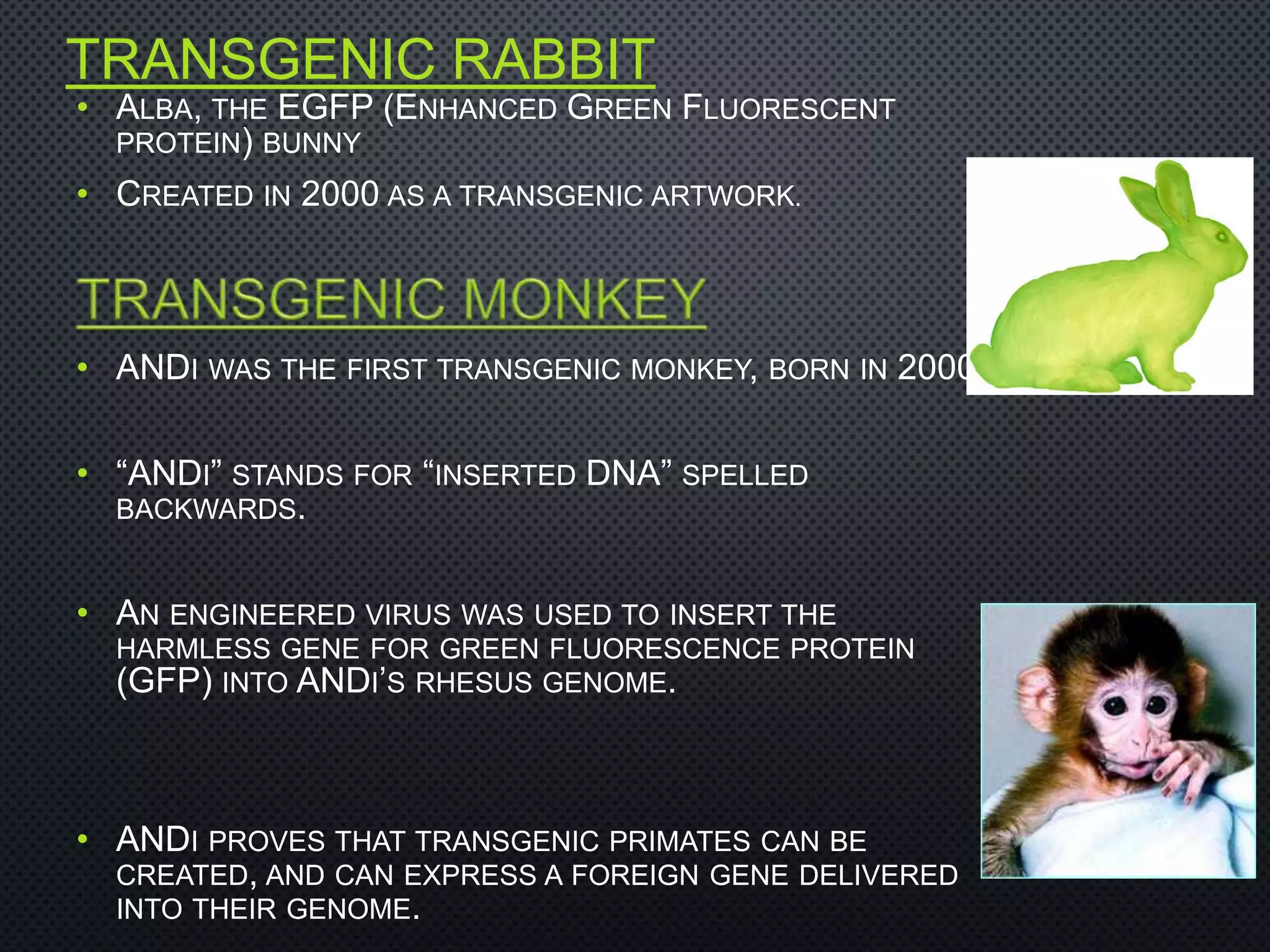 Genetically Modified Organisms | PPTX