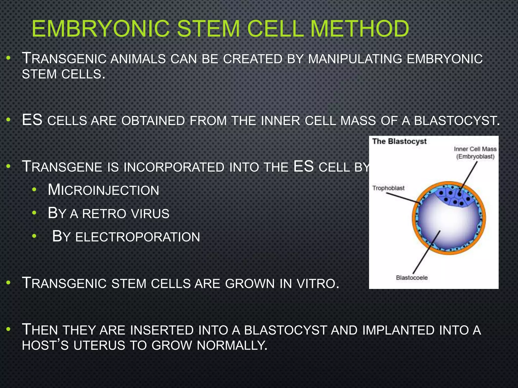 Genetically Modified Organisms | PPTX