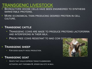 Genetically Modified Organisms | PPTX