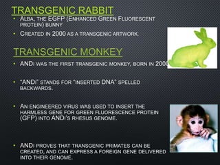 Genetically Modified Organisms | PPTX