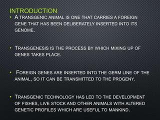 Genetically Modified Organisms | PPTX