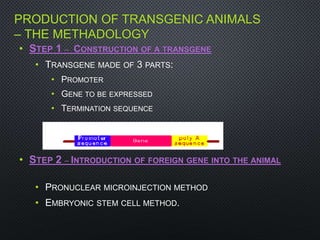 Genetically Modified Organisms | PPTX
