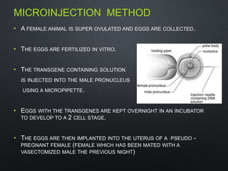 Genetically Modified Organisms | PPTX