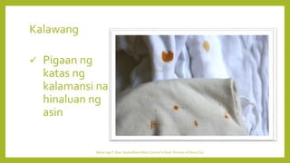 Pangangalaga ng Kasuotan | PPTX