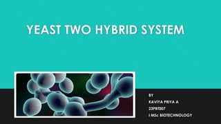 Yeast two hybrid system - principle, procedure, types, advantage and disadvantage | PPTX