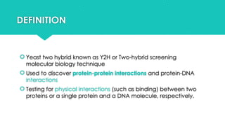 Yeast two hybrid system - principle, procedure, types, advantage and disadvantage | PPTX