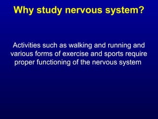 Y2 s1 introduction to the nervous system | PPT