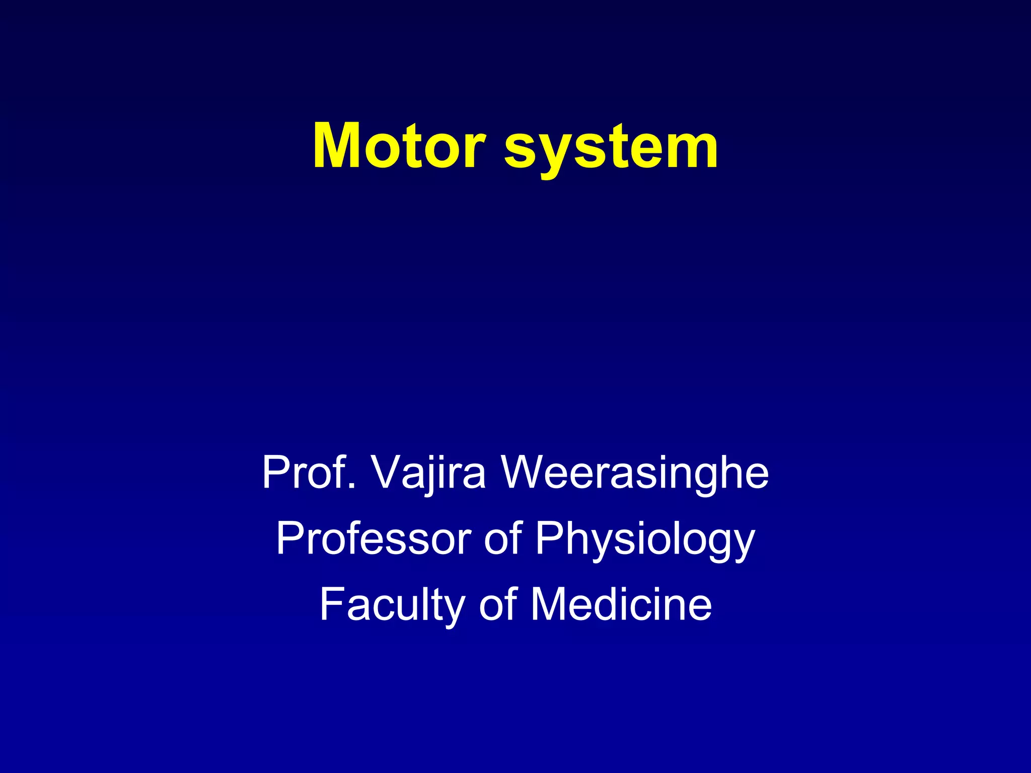 Y2 s1 motor system 2019 | PPTX