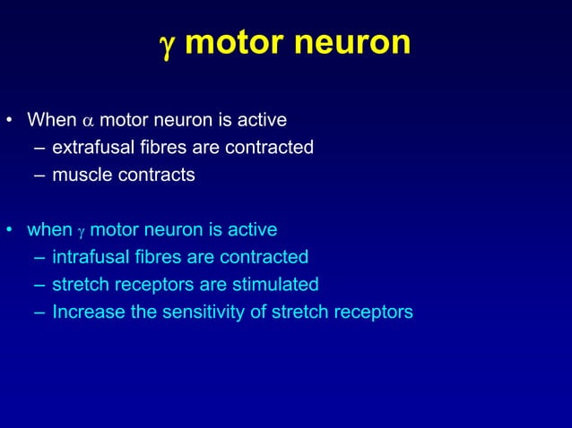Y2 s1 motor system reflexes basal ganglia 2018 comple lecture | PPTX ...
