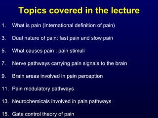 Y2 s1 pain physiology | PPT