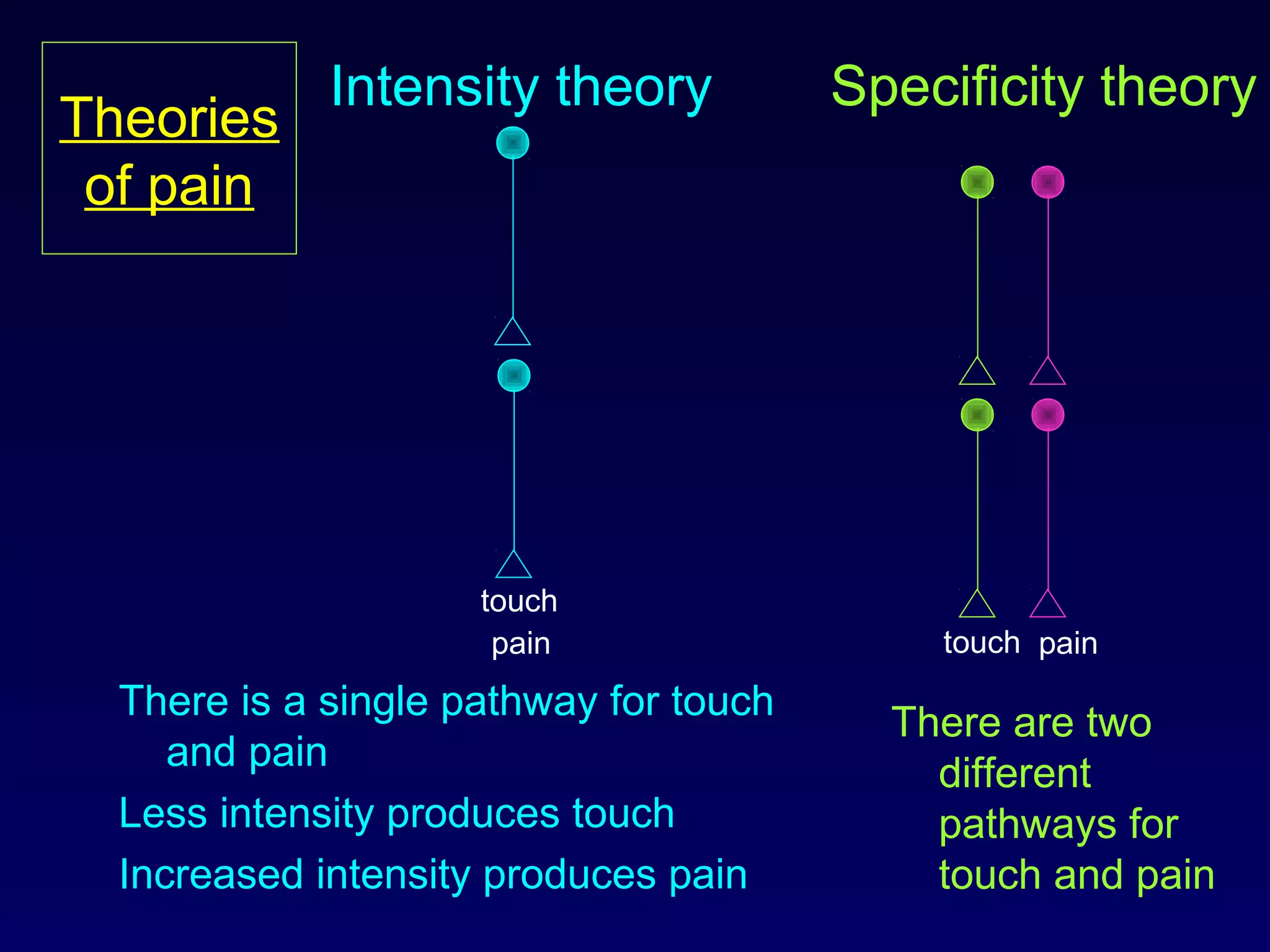 pain physiology Y2S1 2014 | PPT