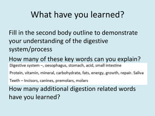 Y2 s5 digestion & vocabulary | PPT