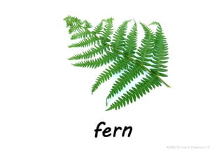 Y2 unit 08 flashcards | PDF