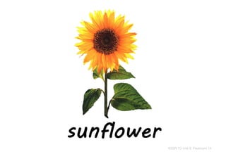 Y2 unit 08 flashcards | PDF