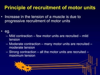 Y3 s1 locomotion muscle dysfunction 2018 final | PPTX