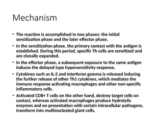 Share_Hypersensitivity reactions-WPS_Office.pptx