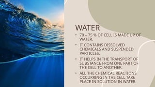 General physiology of cell and cell membrane .pptx