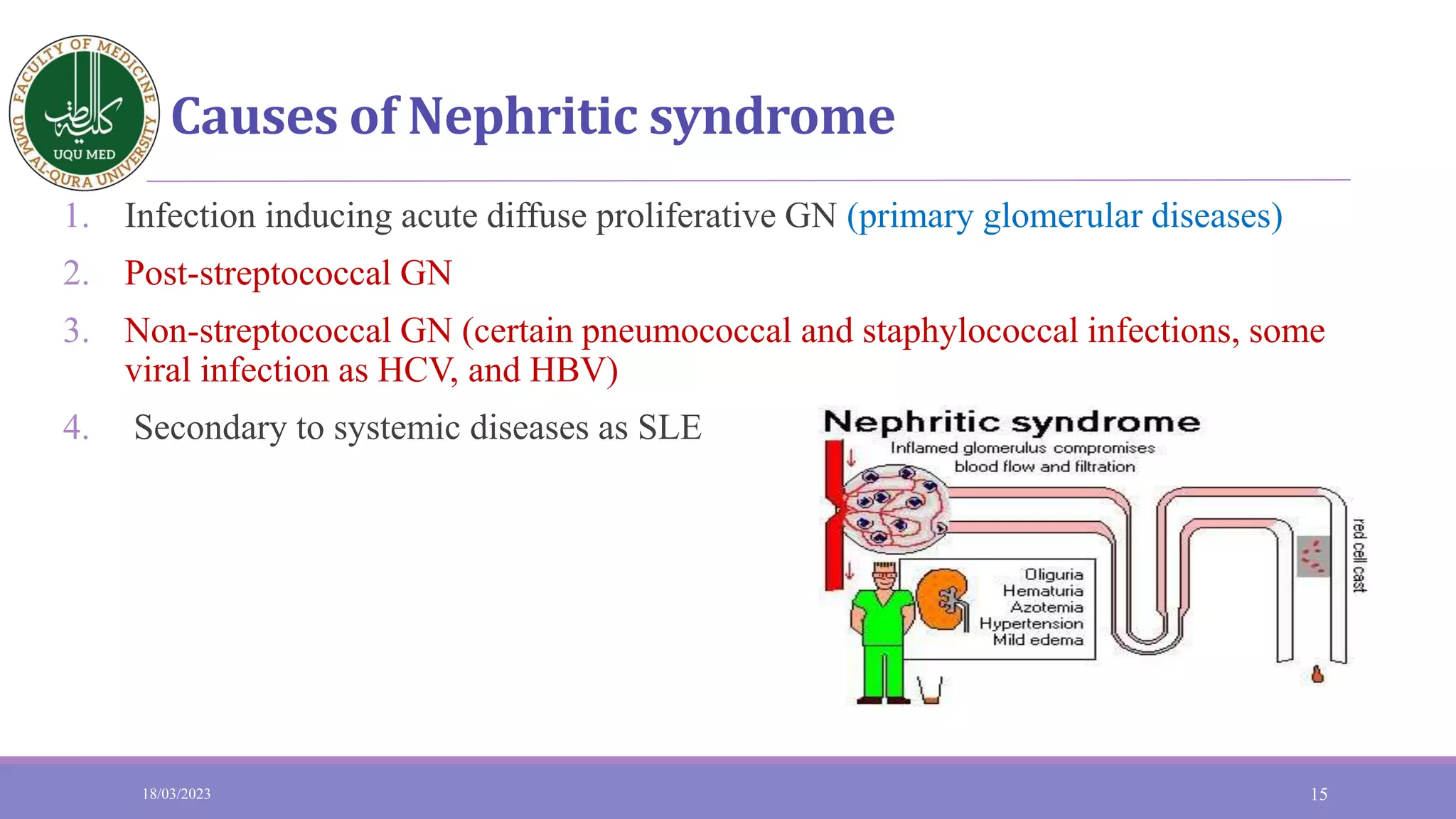Y4C-parenchymal kidney diseases.ppt