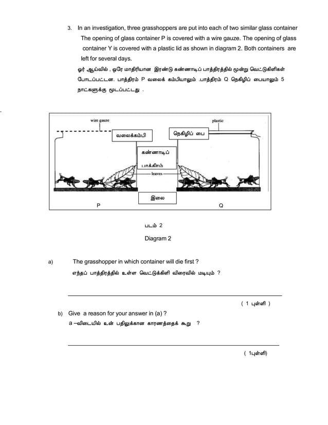 Y4 living things_-_basic_needs_section_b | PDF