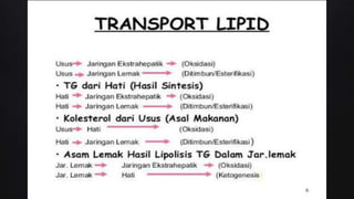 METABOLISME_LIPID_KLP_1-METABOLISME_LIPID.pptx