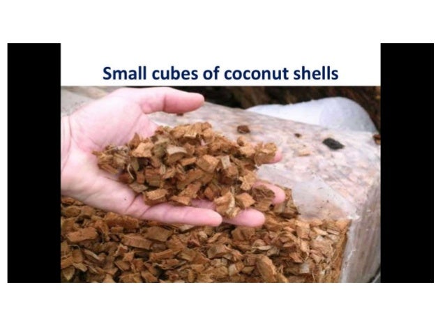 REINFORCED CONCRETE WITH COCONUT SHELL AS COARSE AGGREGATES