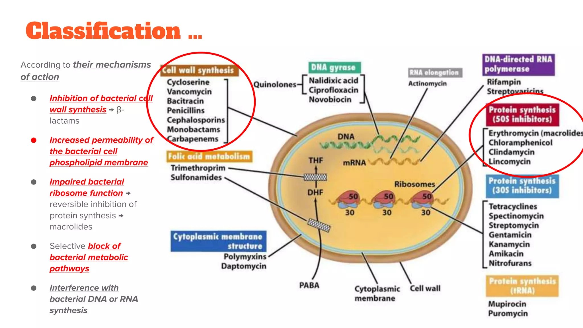 Pharmacology_of_antibacterial_drugs.. part I | PPTX