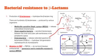 Pharmacology_of_antibacterial_drugs.. part I | PPTX