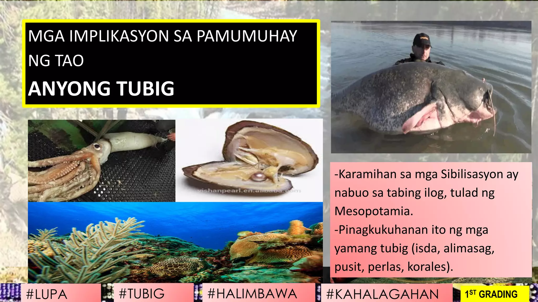 Anyong Tubig at Anyong Lupa | PDF