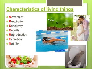 Y6 Ch01 classification of living things 2022.pptx