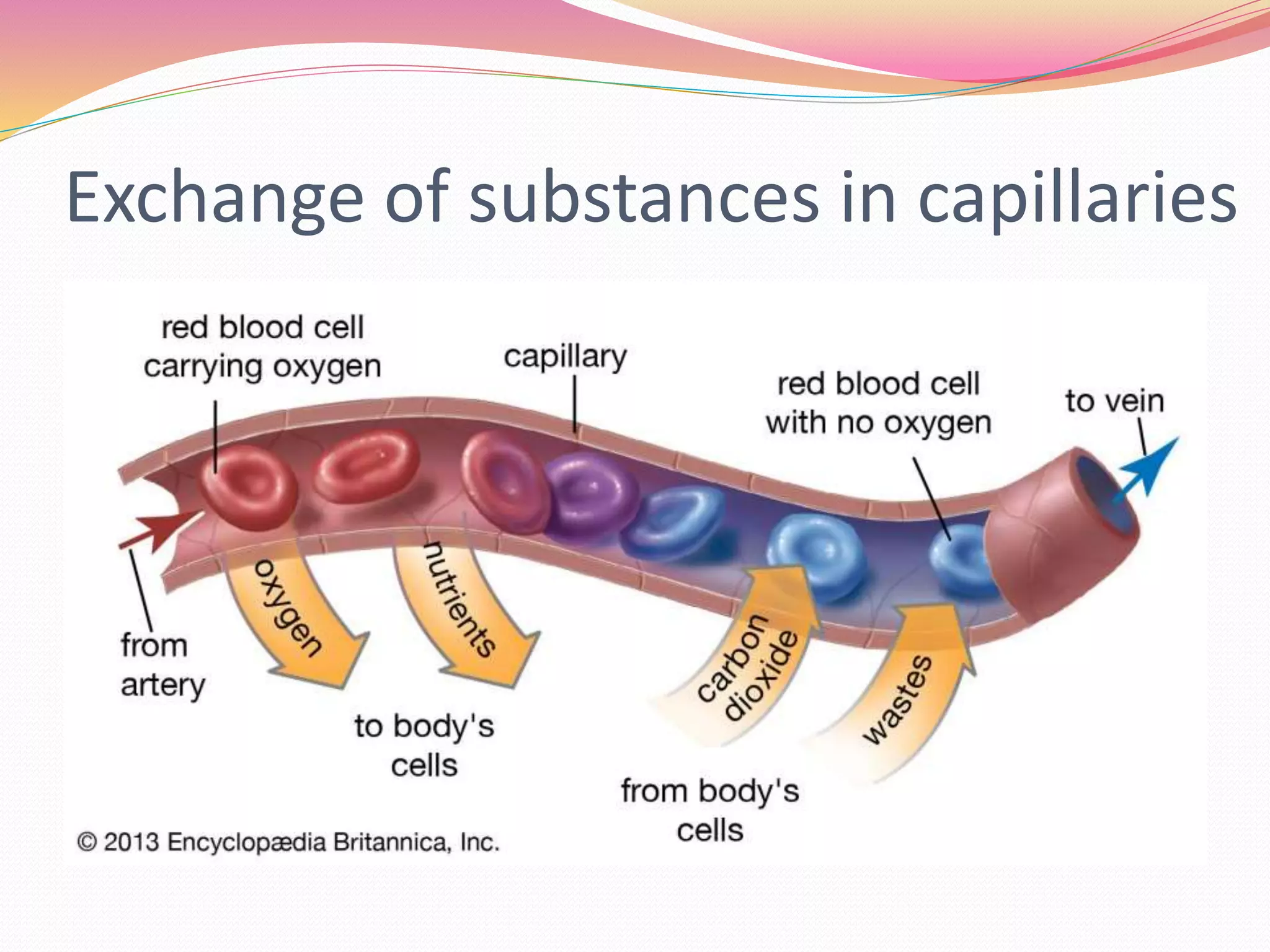 Y6 Ch02 Cell to system All 2022.pptx