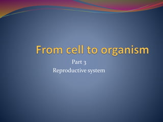Y6 Ch02 Cell to system All 2022.pptx