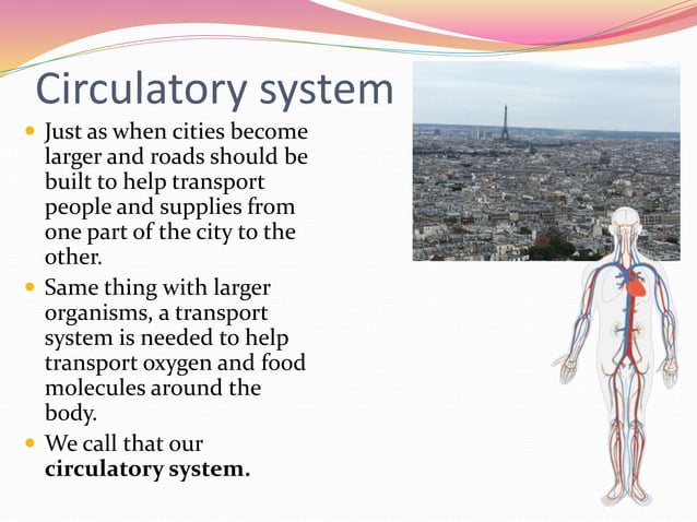 Y6 Ch02 Cell to system All 2022.pptx